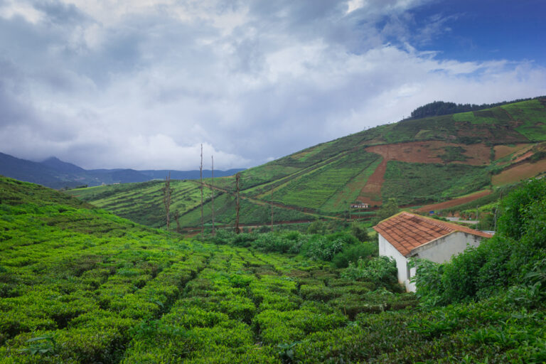 20 Places to Visit in June in India For A Perfect Summer Escape!